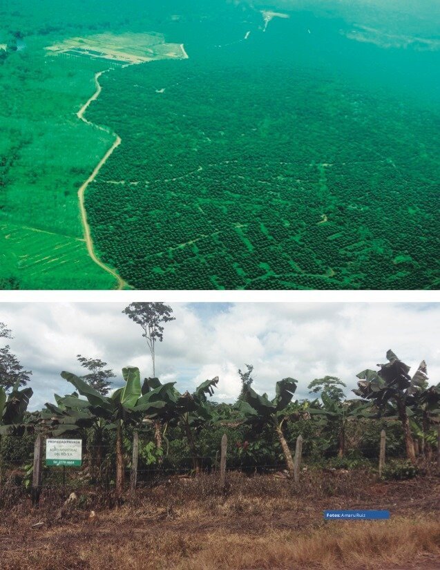 Dossier - Land Matrix LAC